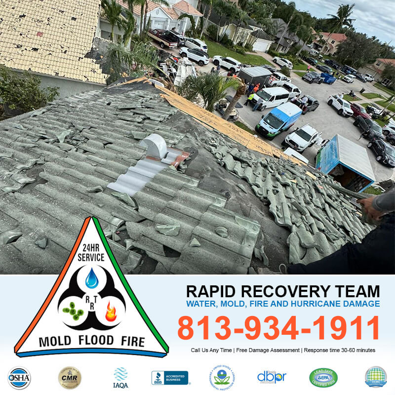 Bayonet Point Florida - Property Restoration for Fire, Mold, Water