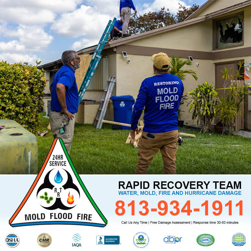 Reliable Storm Damage Cleanup Tampa Services